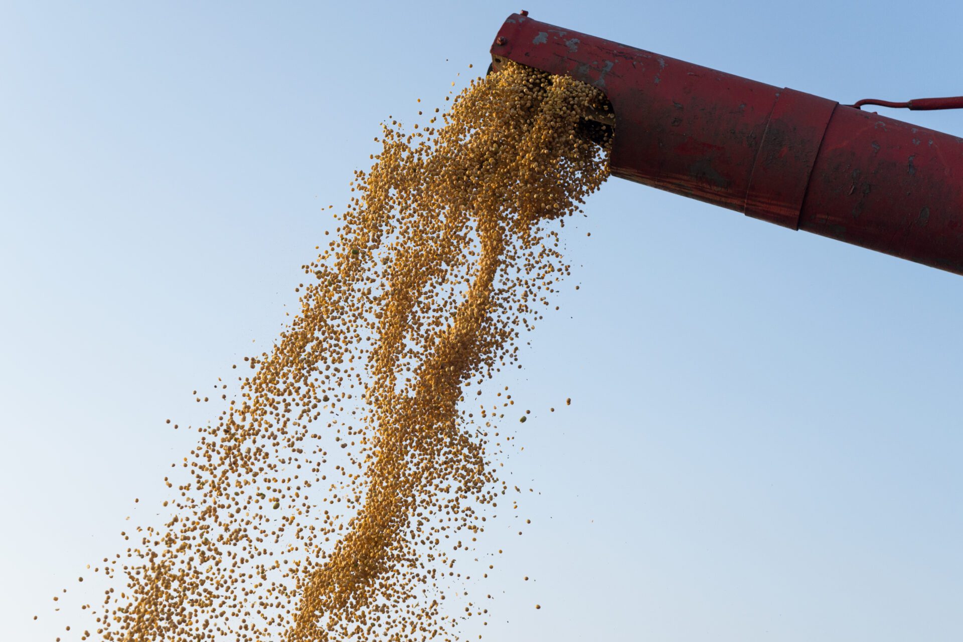 Avoid These Common Mistakes When Designing A Grain Handling System ...